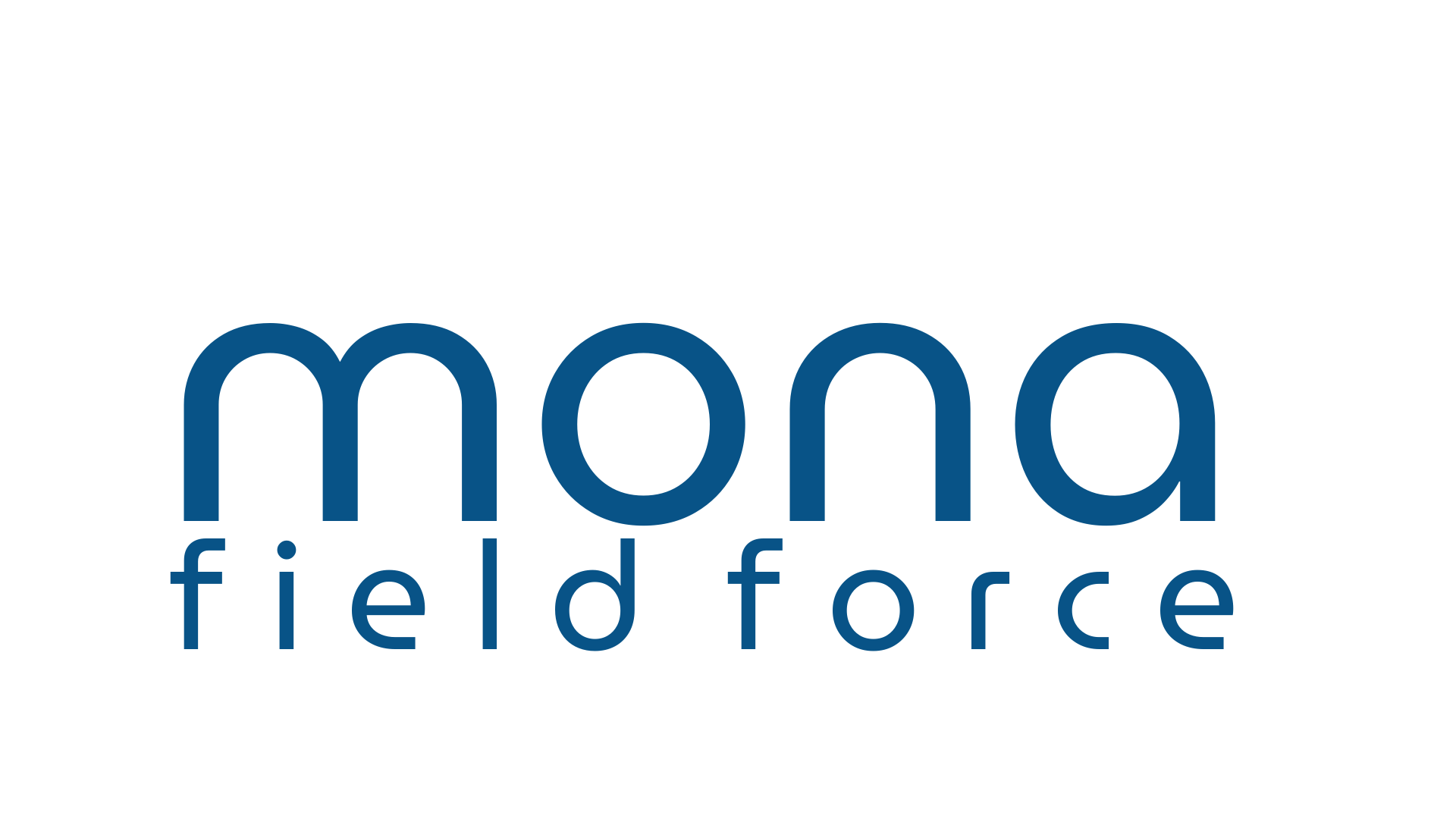 mona field force - Software für Dienstleistungsunternehmen